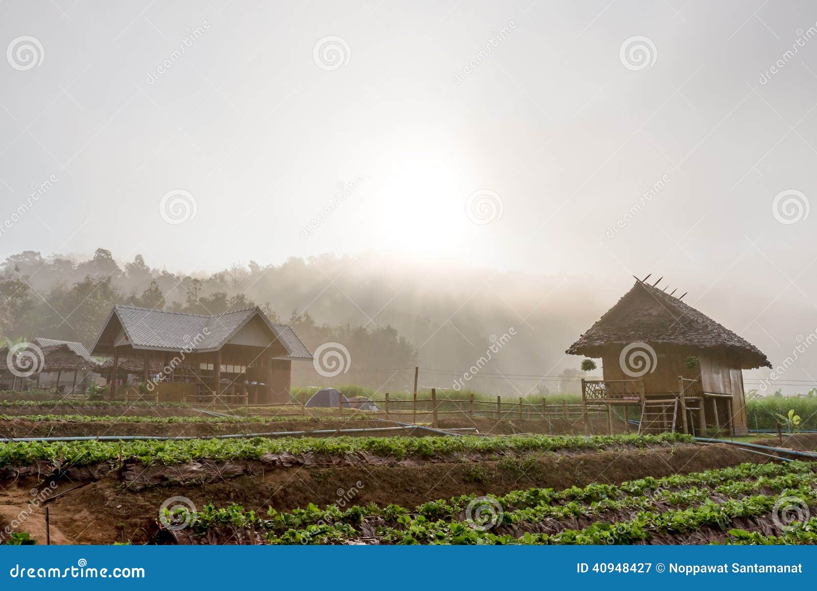 Morning on the farm stock image. Image of cabin, holiday - 40948427