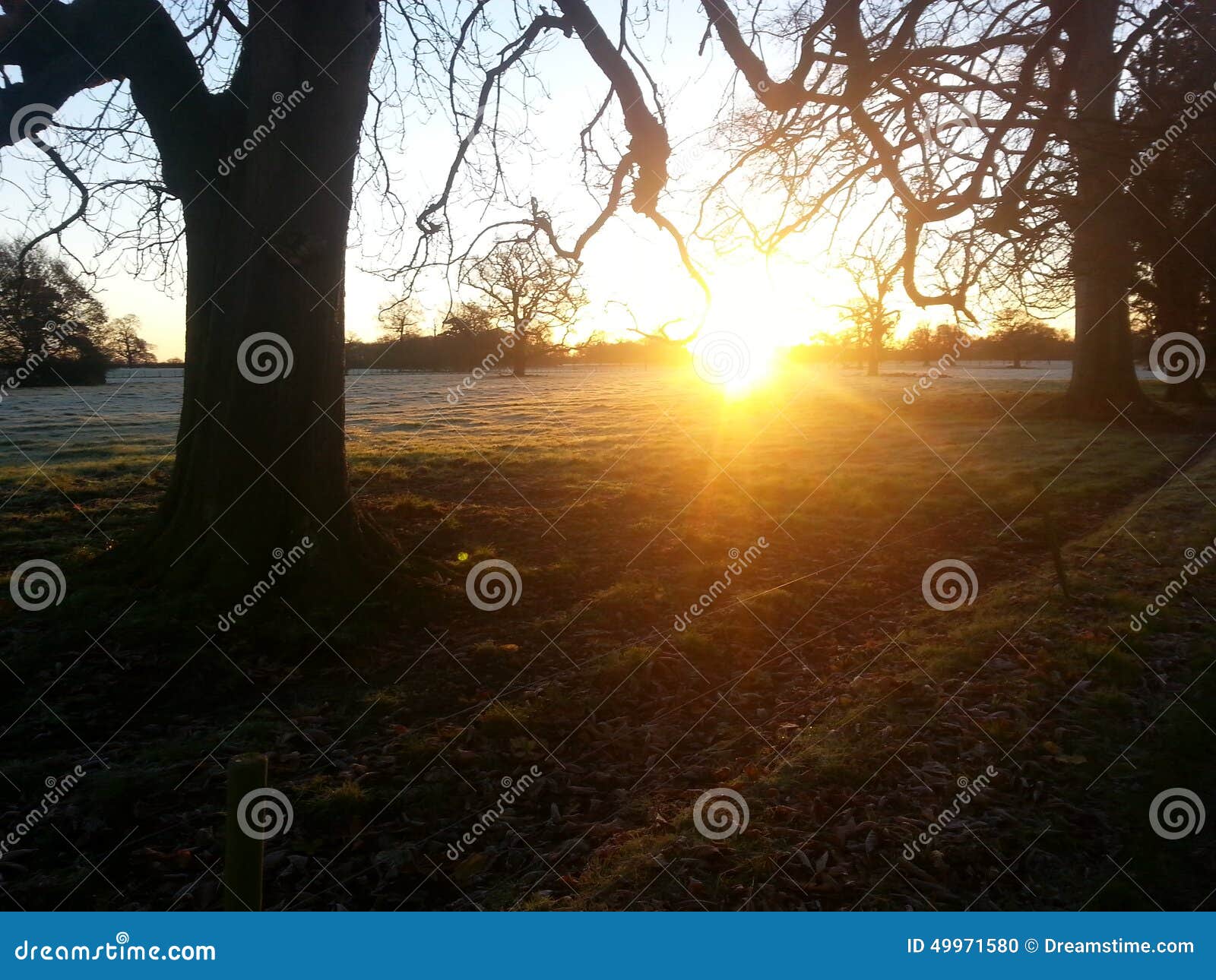 Morning in the fields stock photo. Image of autumn, light - 49971580