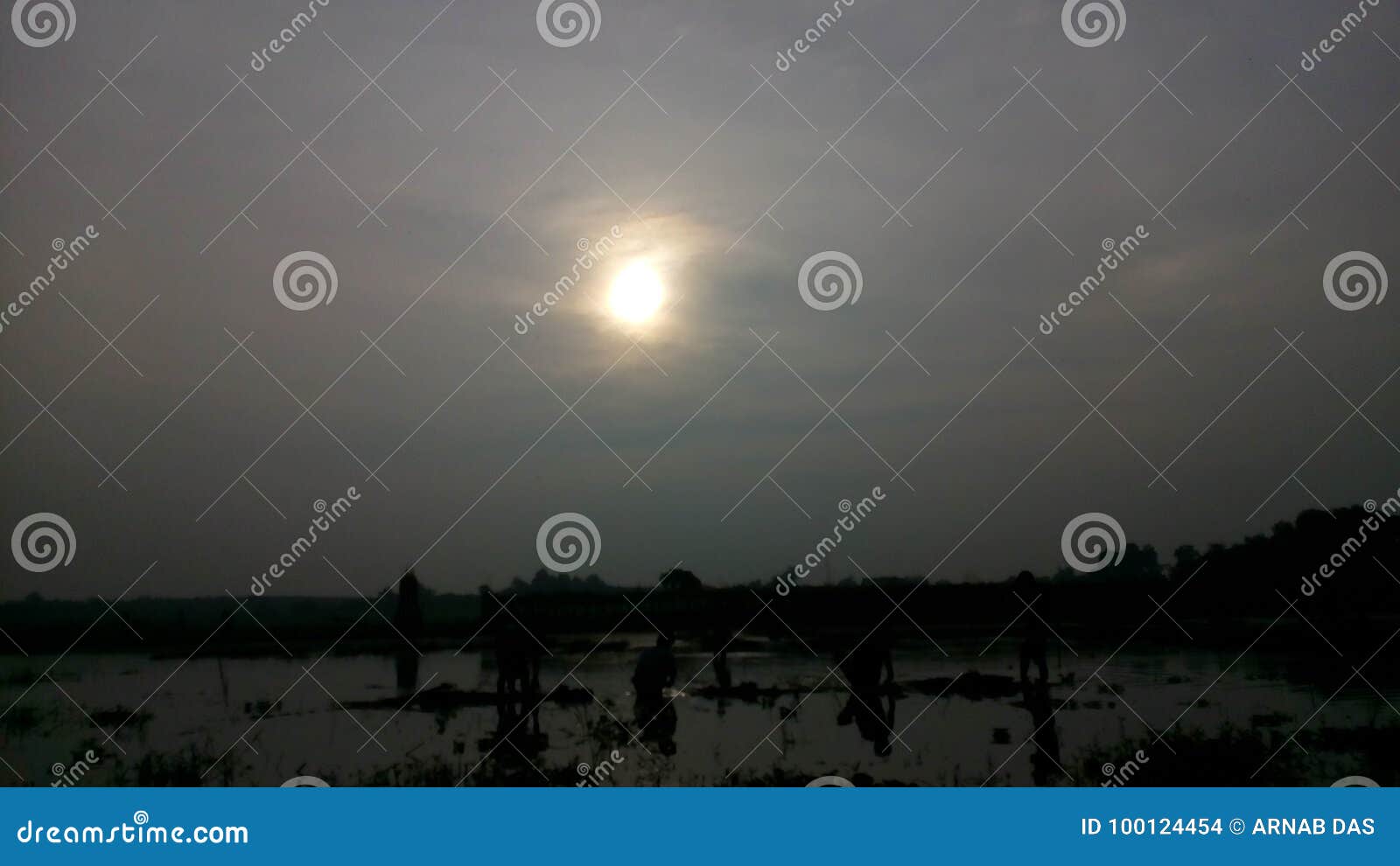 Morning stock photo. Image of morning, look - 100124454
