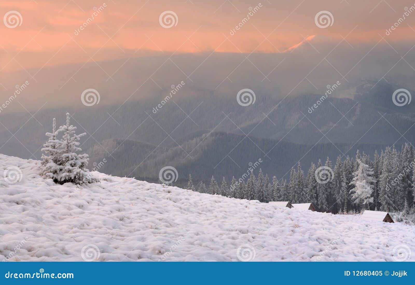 Morning of the first snow stock image. Image of year - 12680405