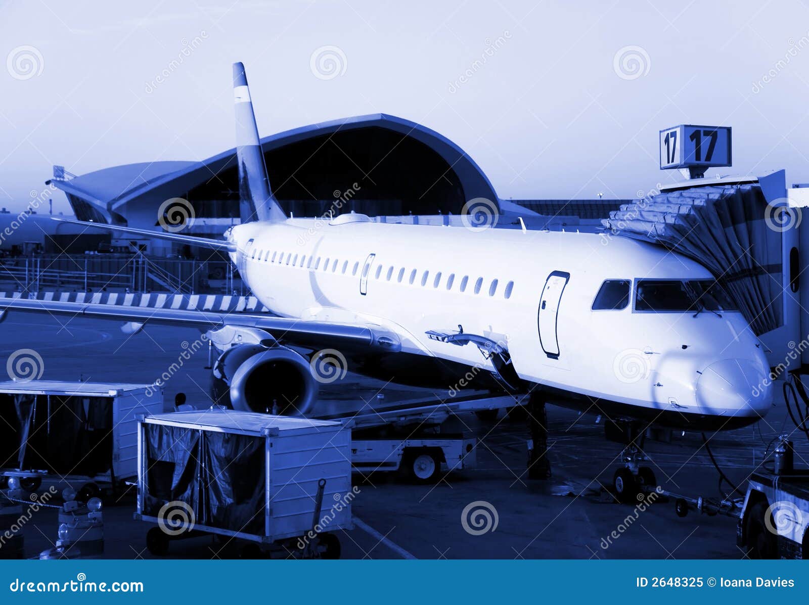 Morning Flight Picture. Image: 2648325