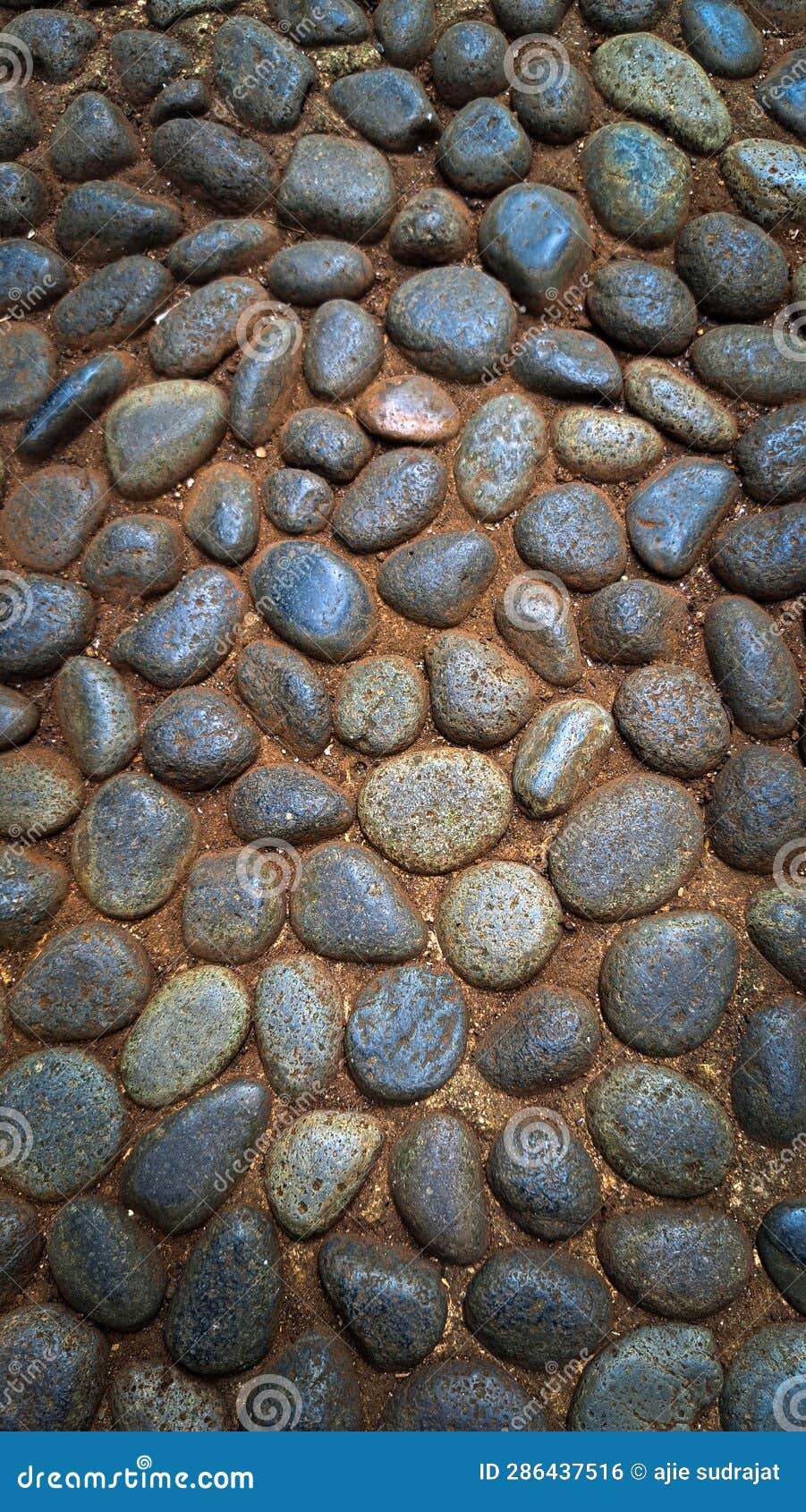Morning Floor with River Stone Texture Stock Photo - Image of floor ...