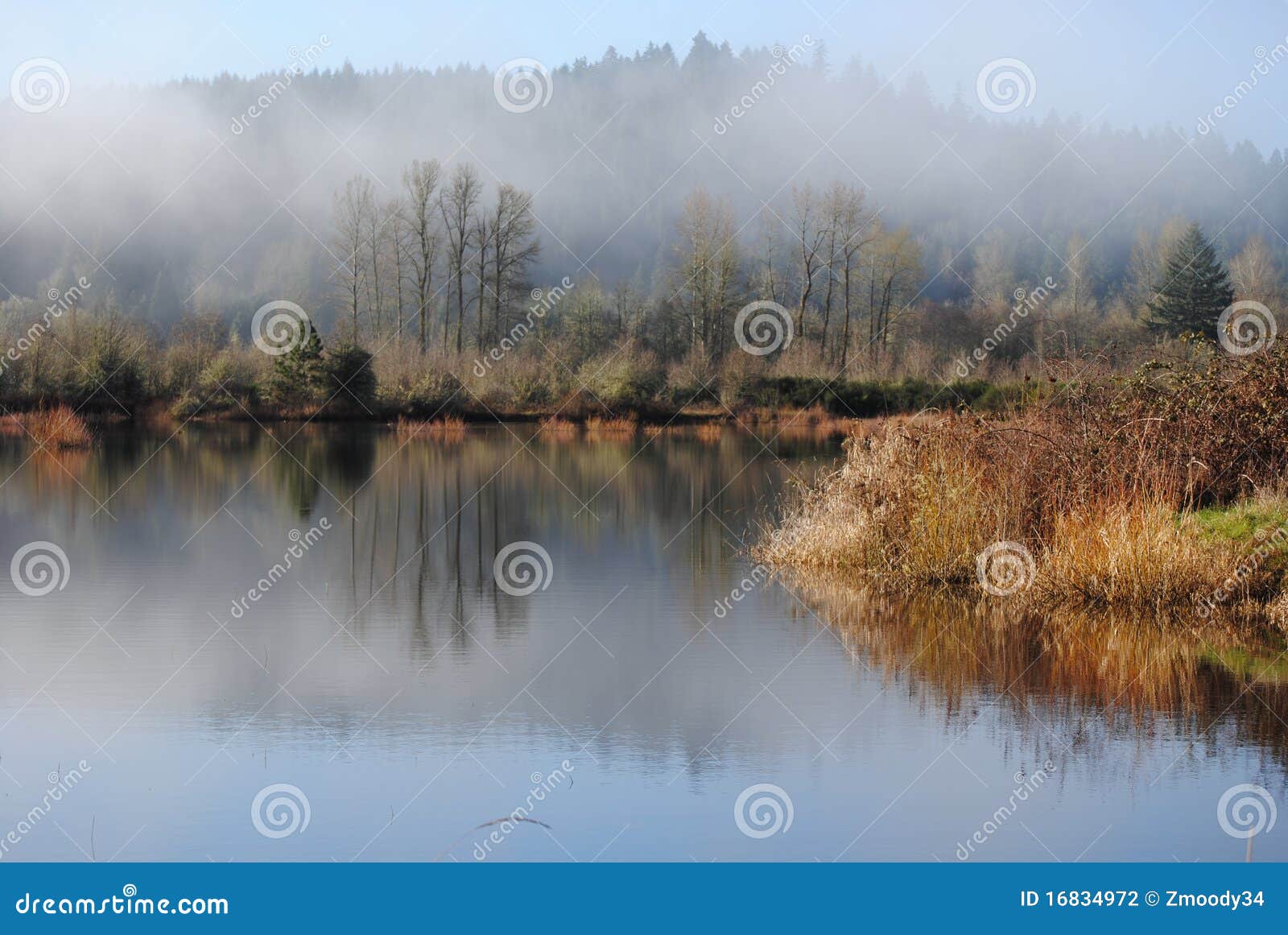 Morning Fog stock photo. Image of clouds, smooth, ponds - 16834972