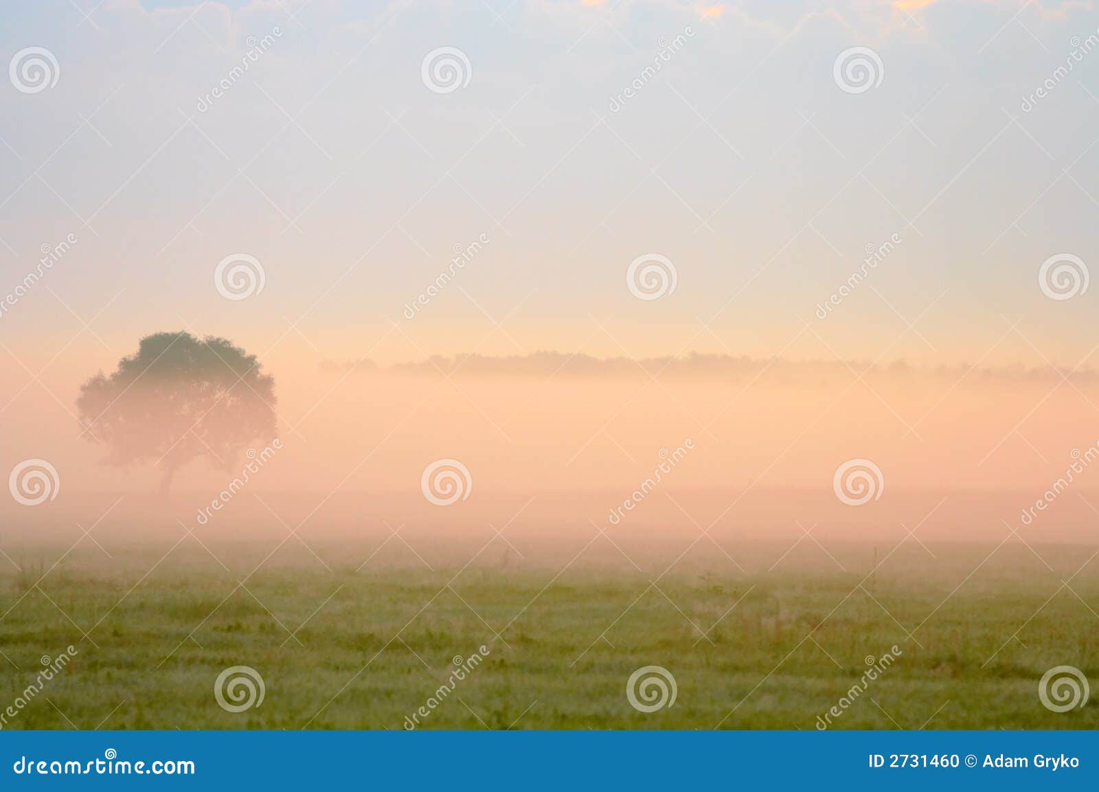 Morning fog stock photo. Image of orange, calm, nightfall - 2731460