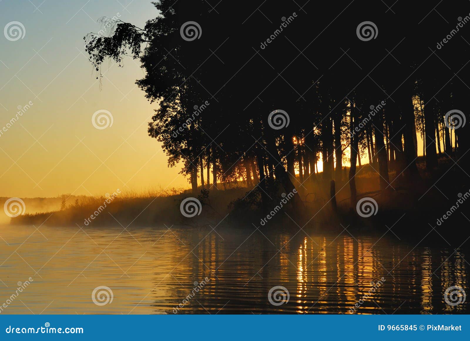 Morning Fog stock image. Image of nature, holiday, filtered - 9665845