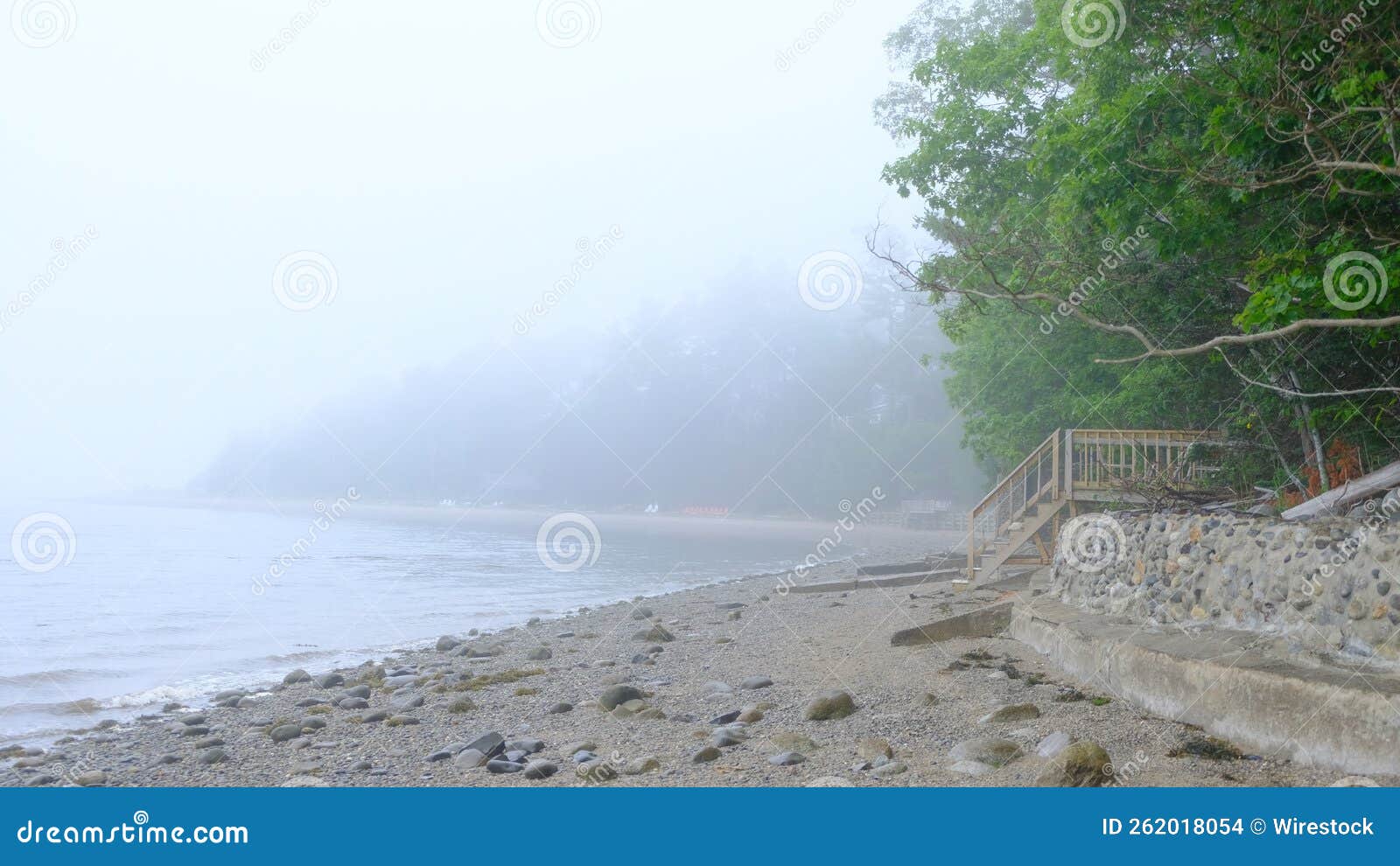 Morning fog at the beach stock photo. Image of cloud - 262018054