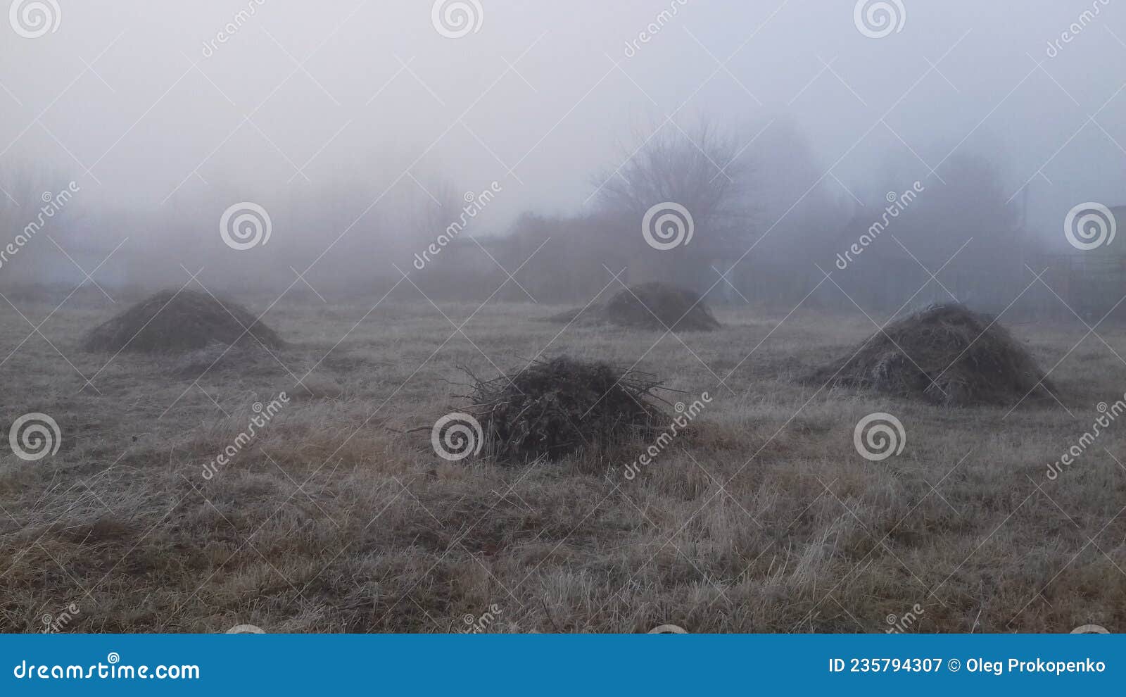 Morning Fog in the Countryside Stock Image - Image of cloud, natural ...