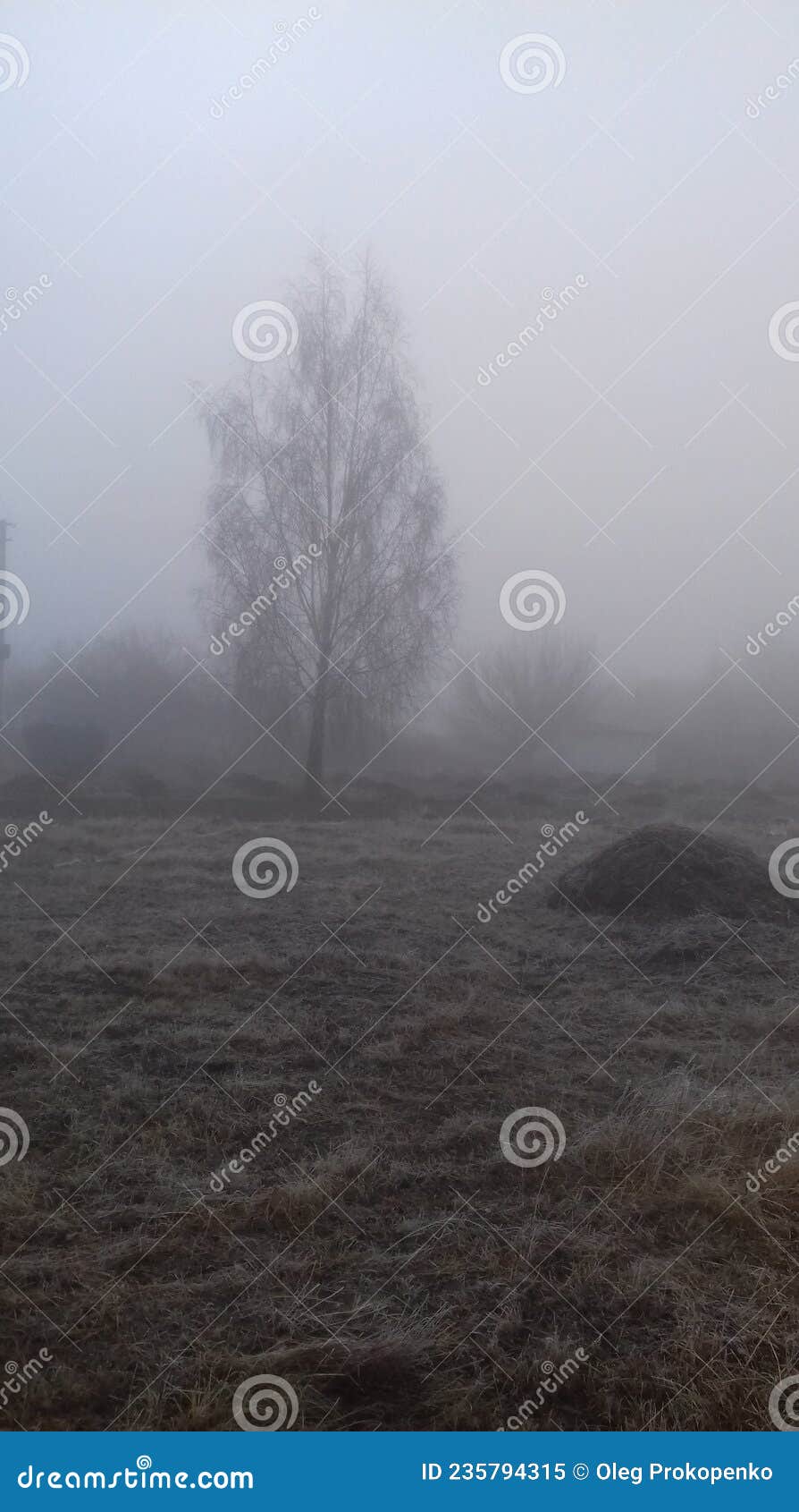 Morning Fog in the Countryside Stock Image - Image of cloud, nature ...