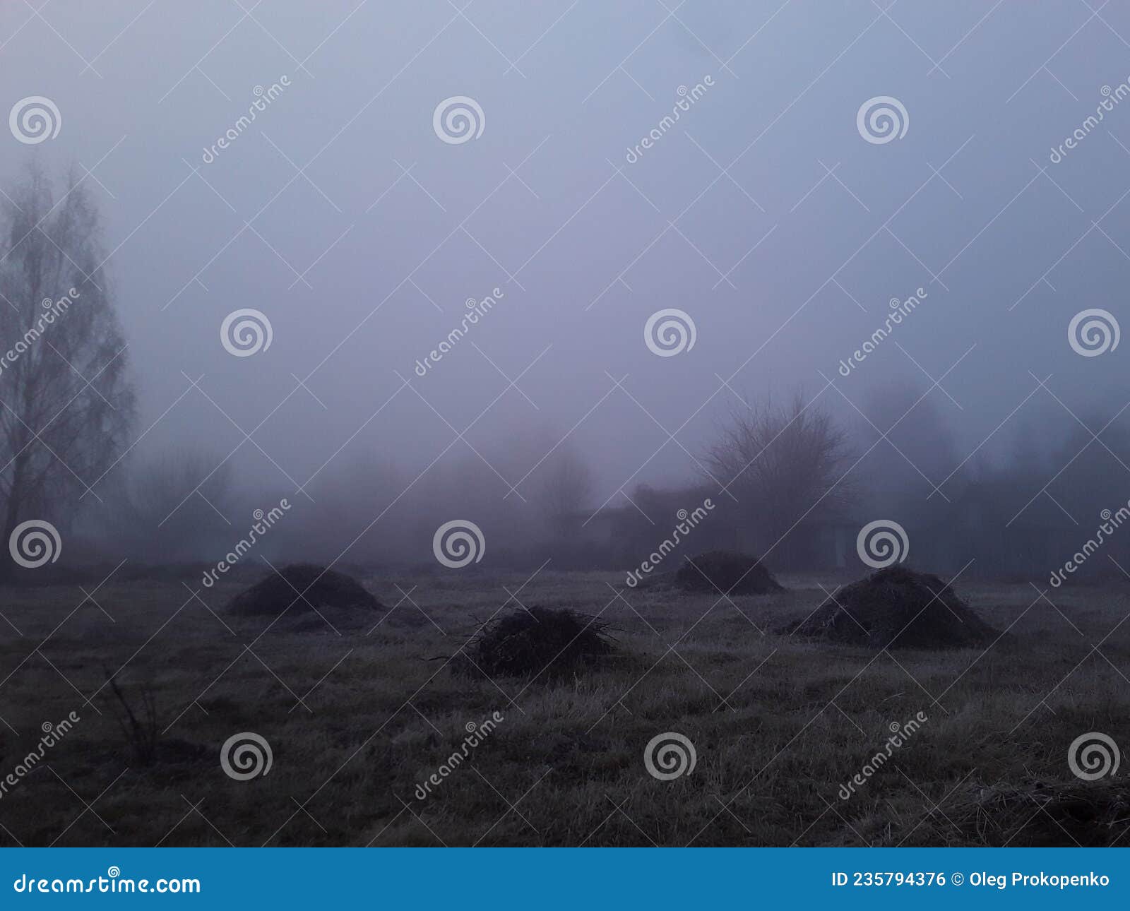 Morning Fog in the Countryside Stock Photo - Image of peace, foggy ...