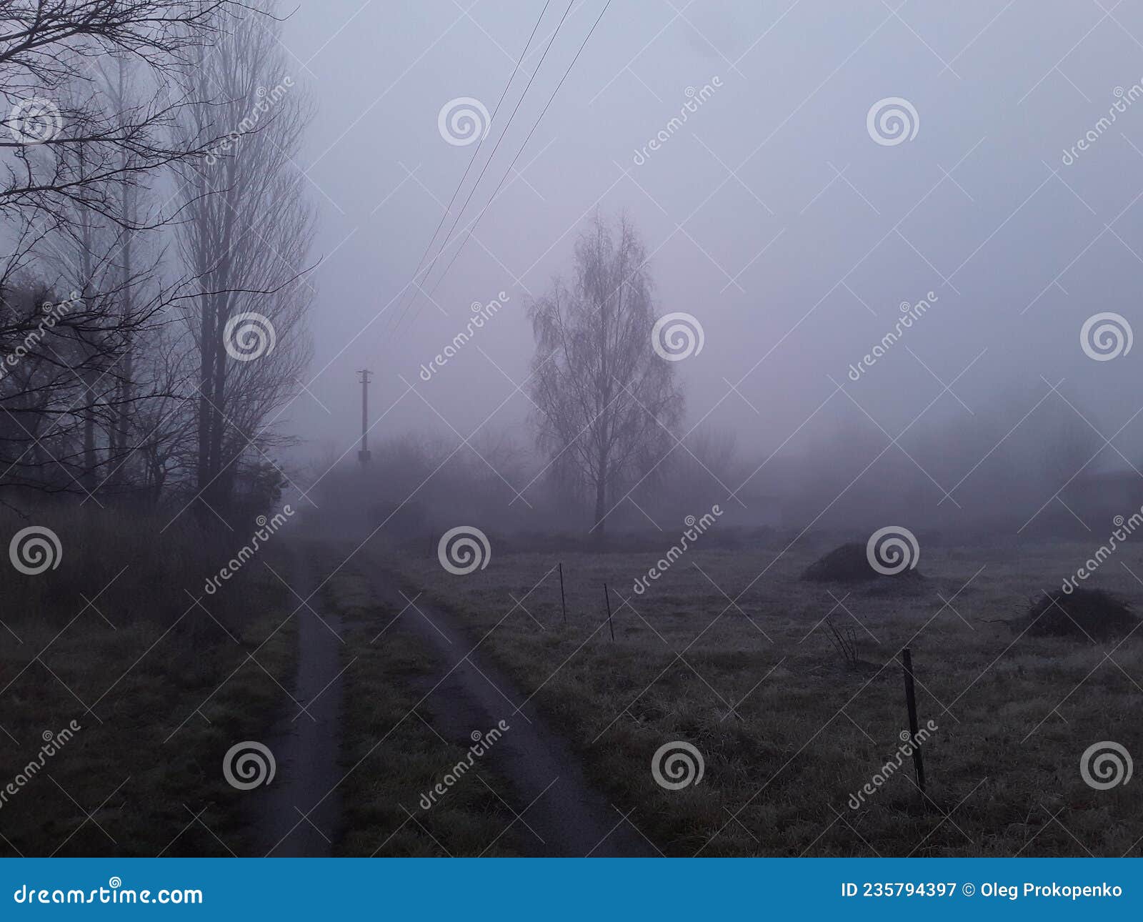 Morning Fog in the Countryside Stock Image - Image of landscape, cloud ...