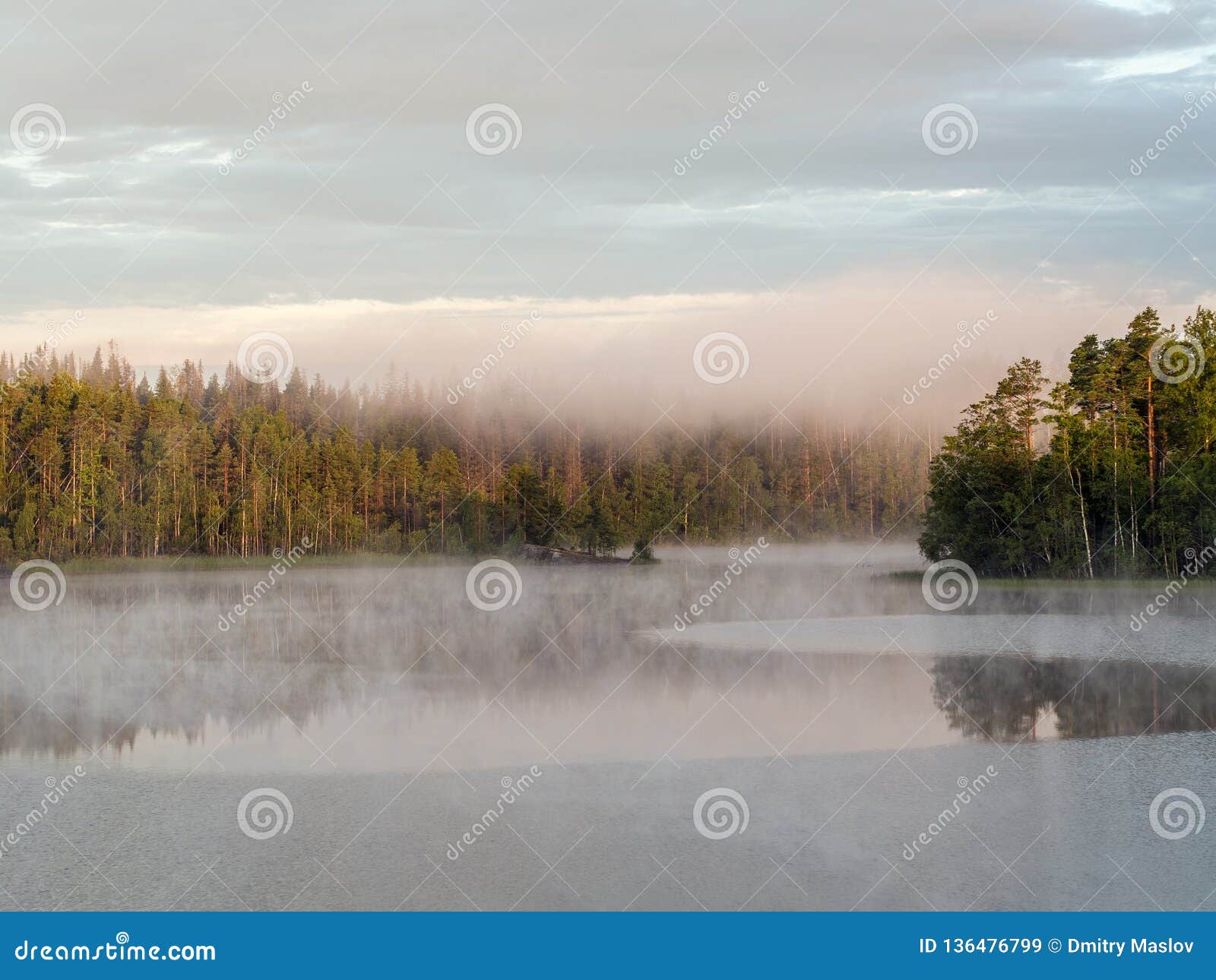 Morning Fog on a Forest Lake Stock Image - Image of summer, dawn: 136476799