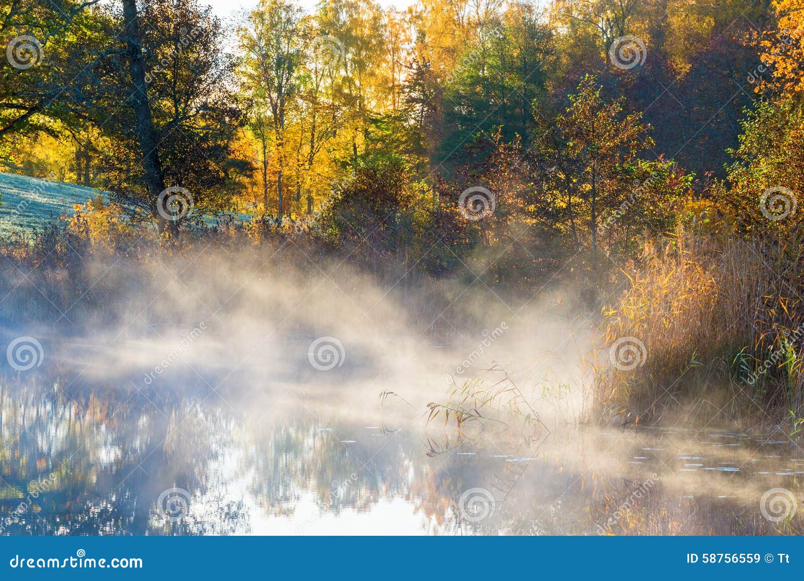 Morning fog by the lake stock image. Image of autumn - 58756559