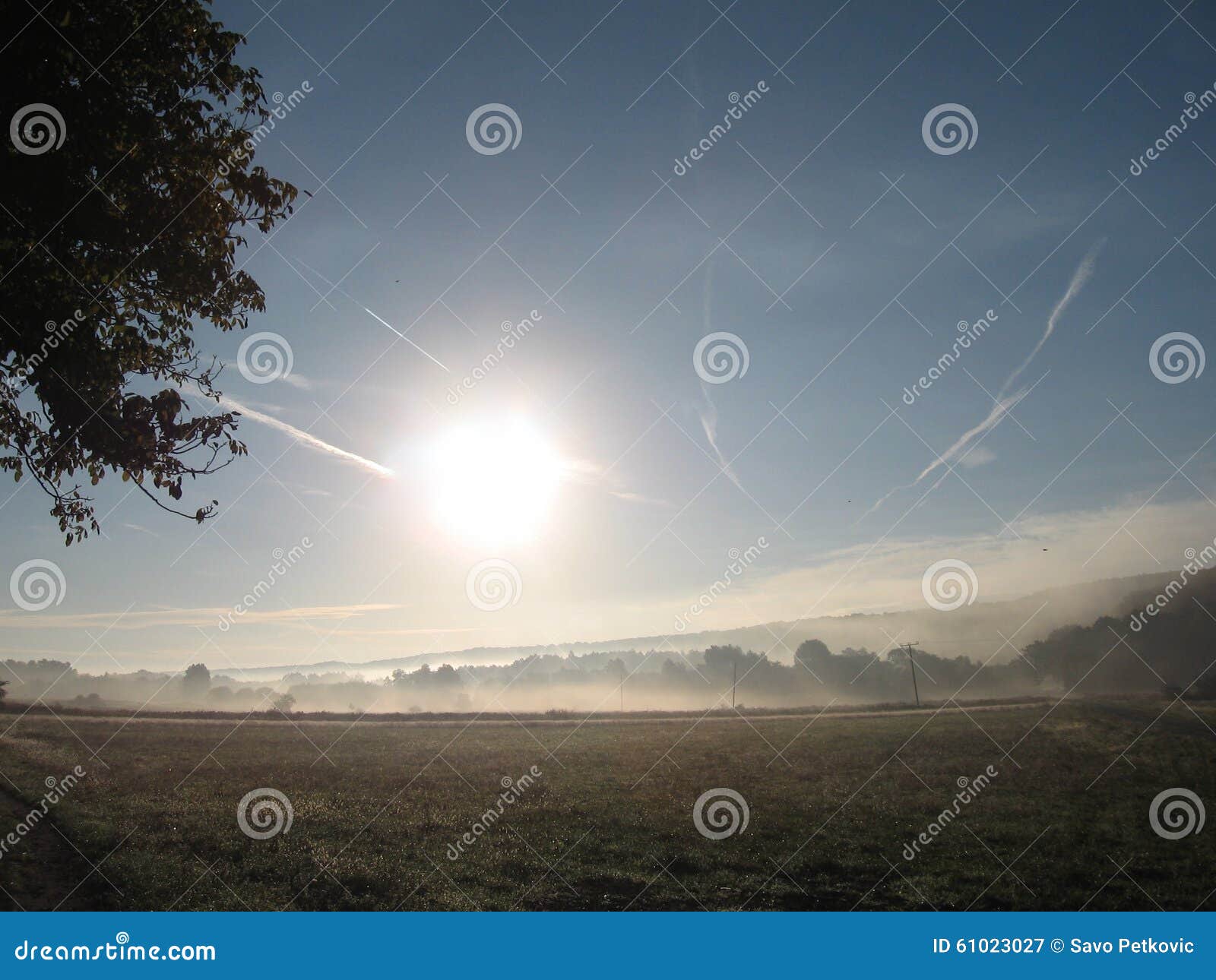 Morning in fog stock image. Image of blue, trace, wally - 61023027