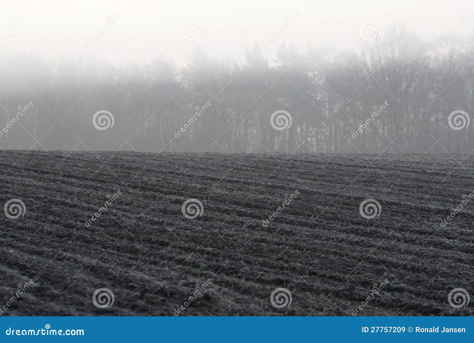 Morning Fog Over Arable Land Stock Image - Image of farmland, arable ...