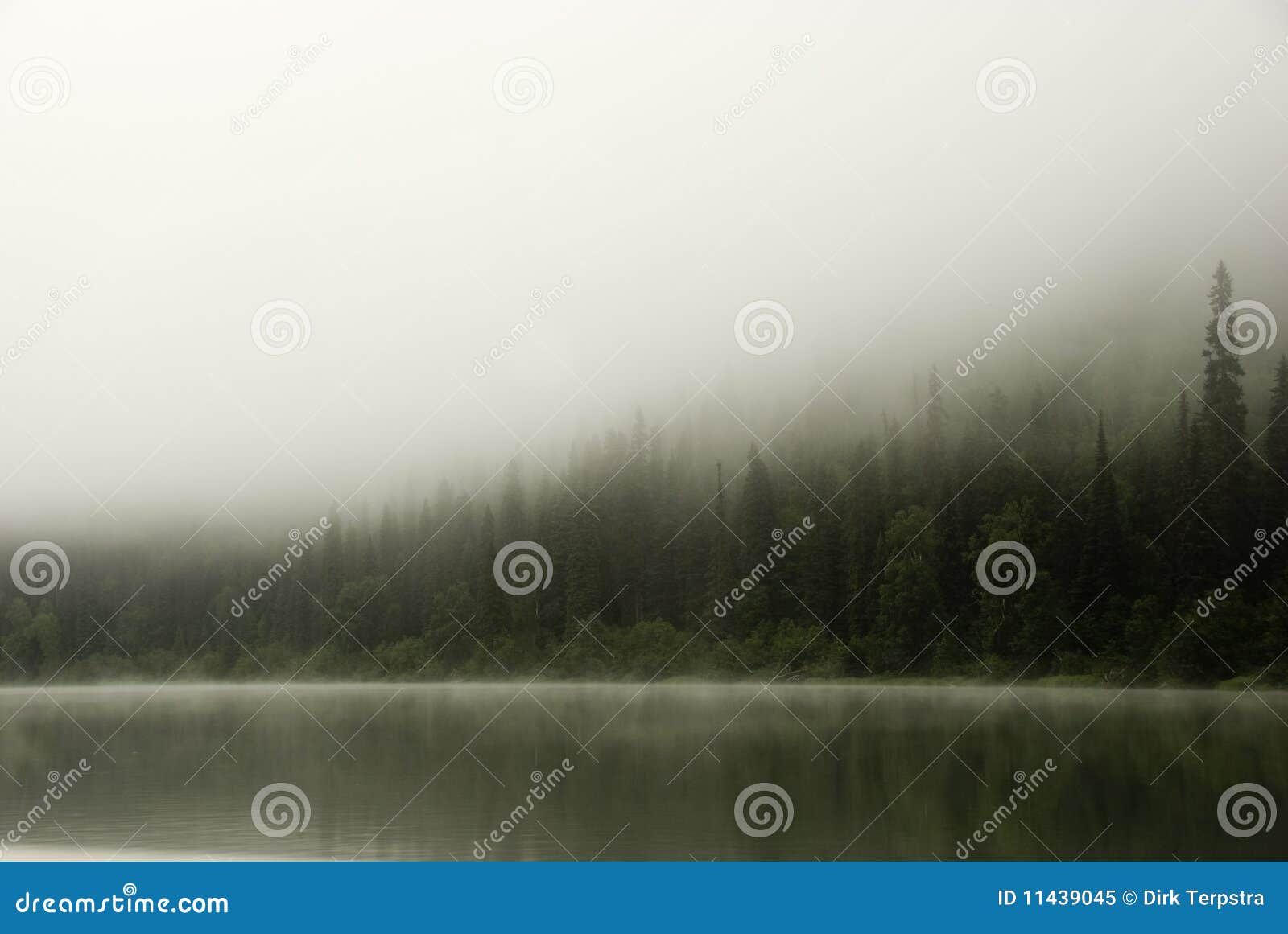 Morning fog over the river stock image. Image of lake - 11439045