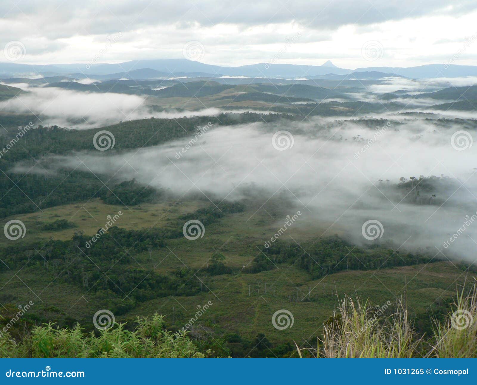 Morning fog over savannah stock image. Image of tepui - 1031265