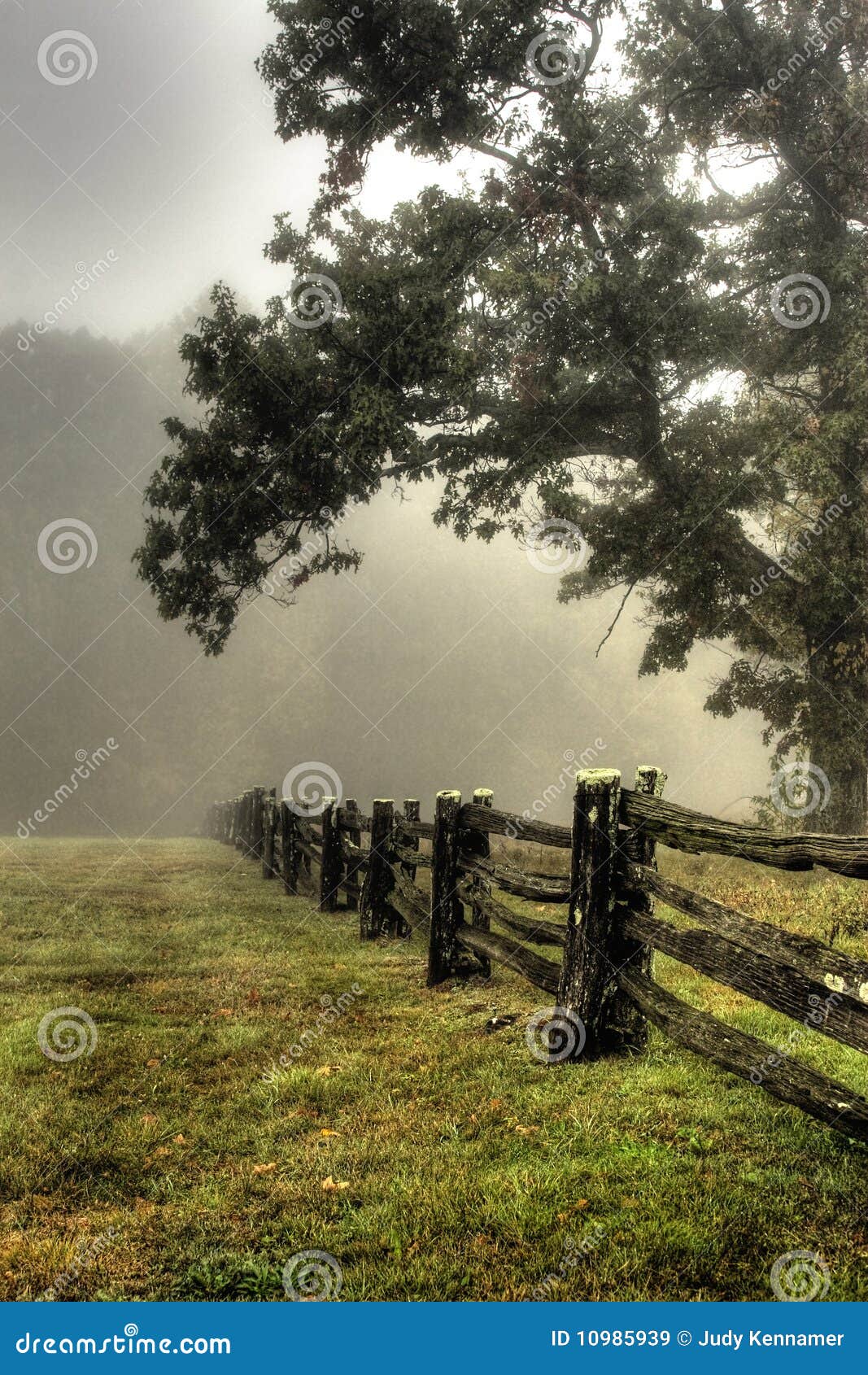 Morning Fog on Split Rail Fence Stock Image - Image of blue, leaf: 10985939