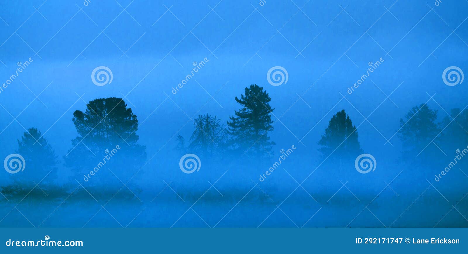Morning Fog with Trees and River Blue Sky and Glowing Mist Stock Image ...