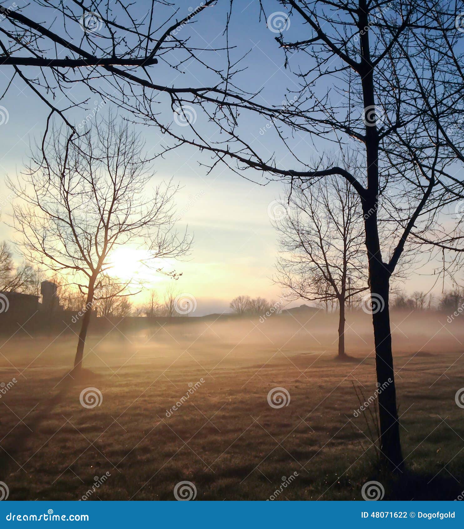 Morning fog stock photo. Image of grass, morning, park - 48071622