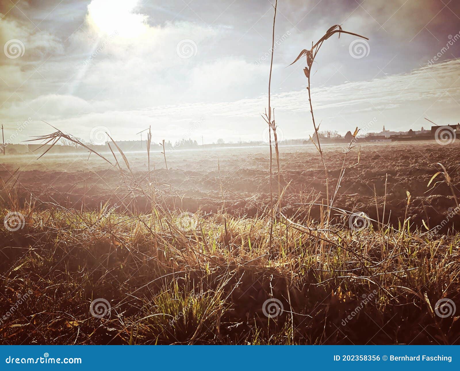 The Morning Fogg stock photo. Image of field, reflection - 202358356