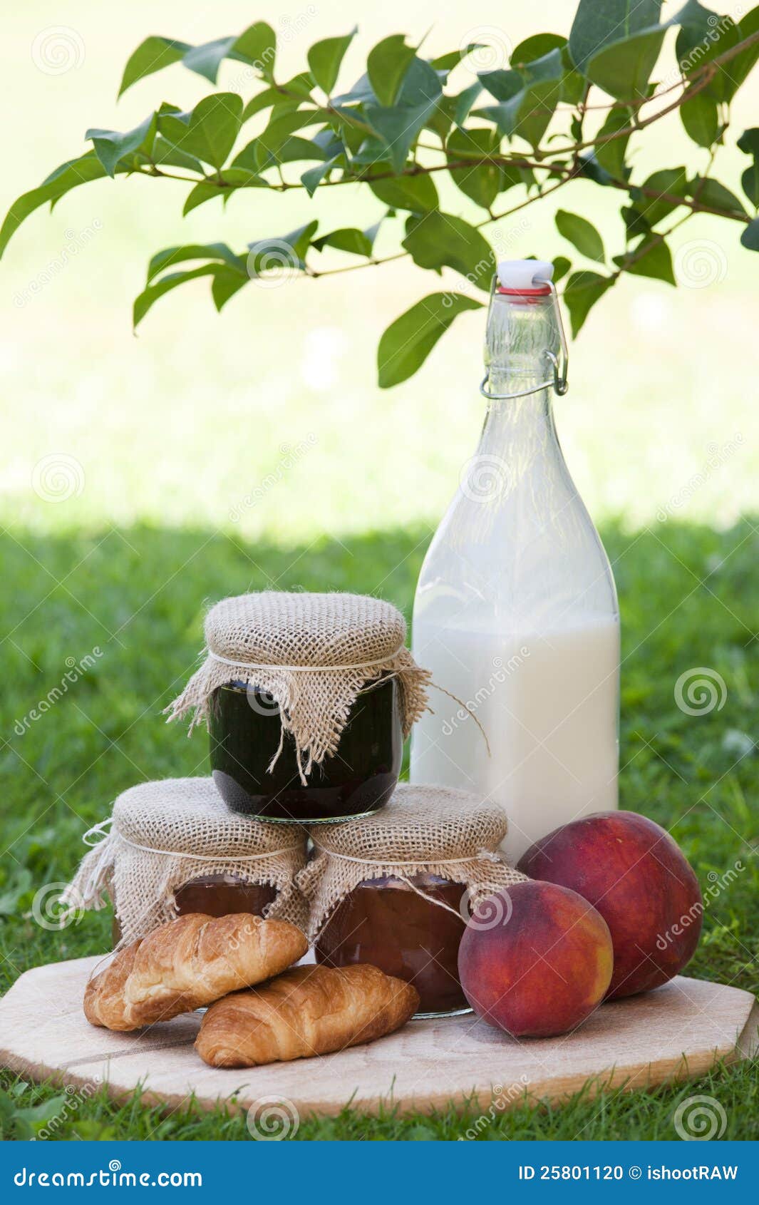 Morning food stock photo. Image of bottle, farmland, ground - 25801120