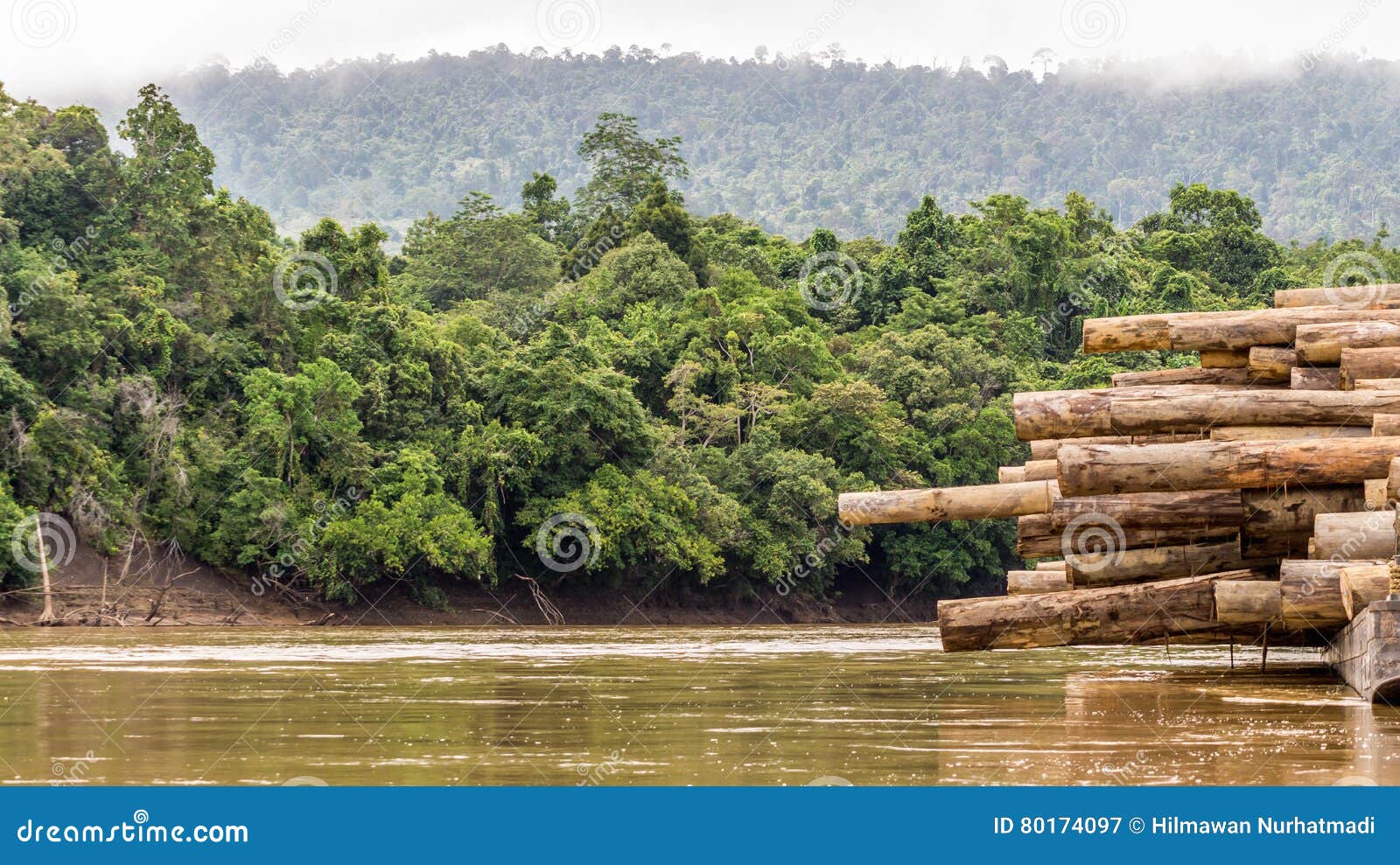 Stack of Huge Timber on a Barge in the River Surrounded by Green ...