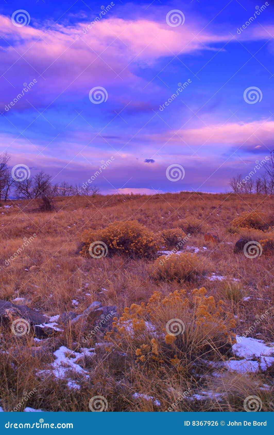 Morning Freshness stock photo. Image of colorado, morning - 8367926