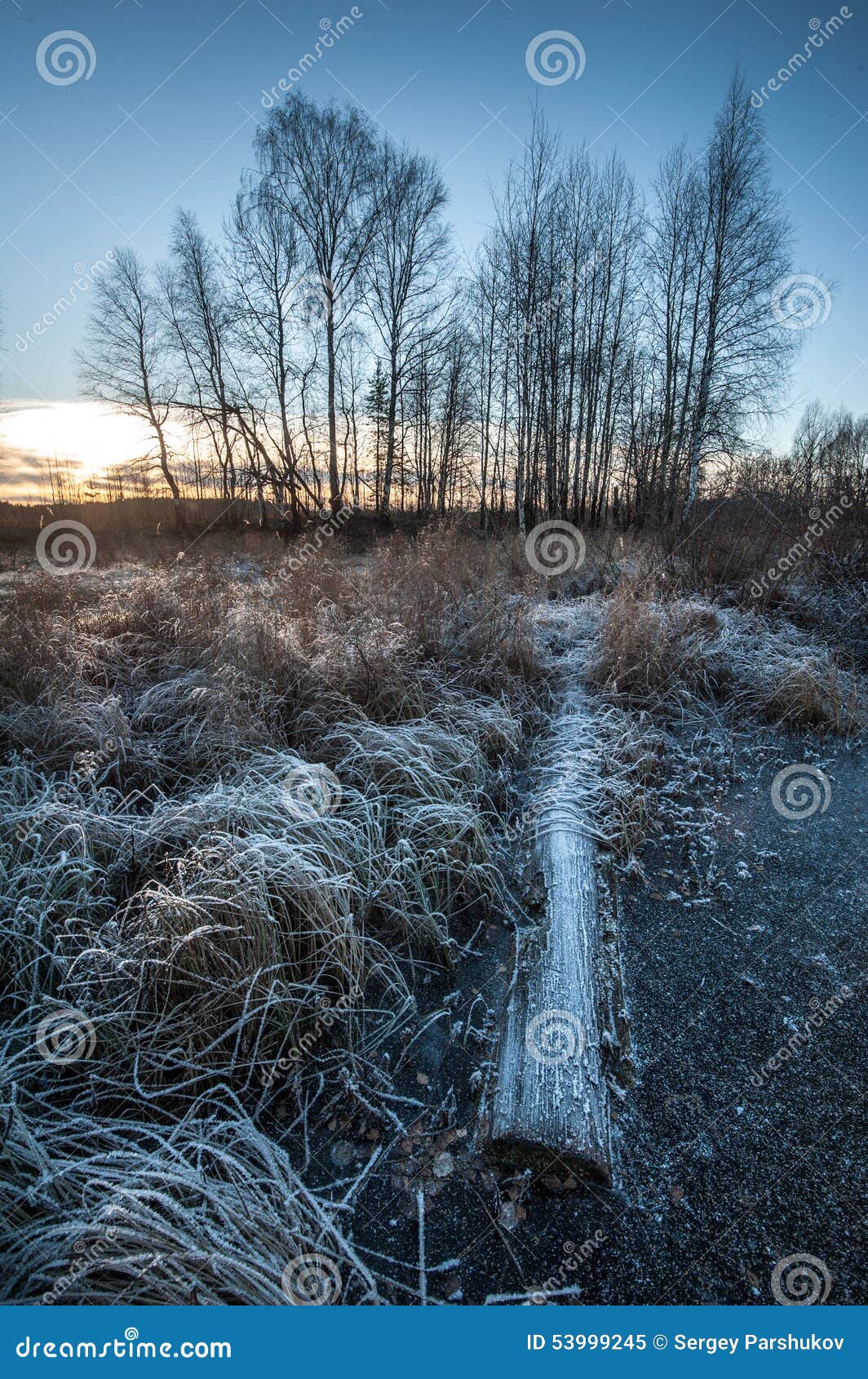 Morning frost stock image. Image of park, mountains, neighborhood ...