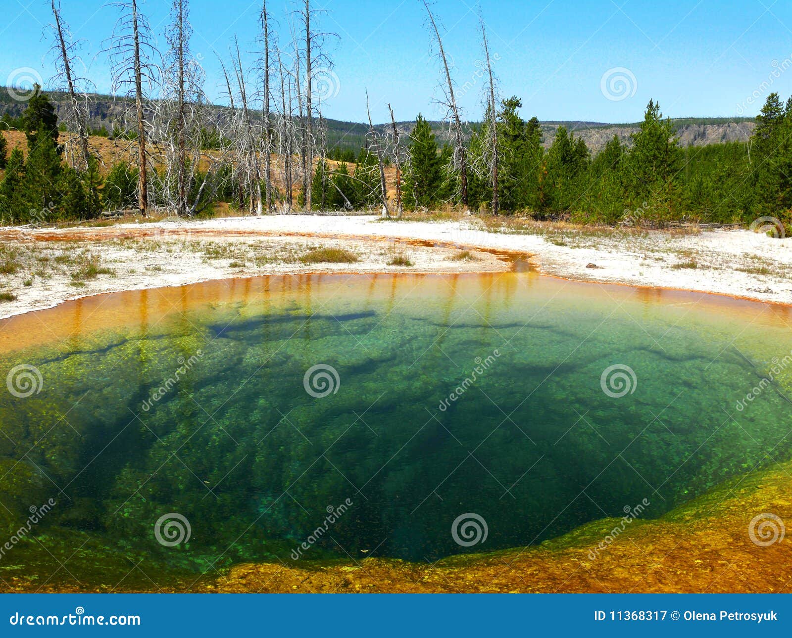 Morning Glory Pool stock image. Image of wyoming, water - 11368317