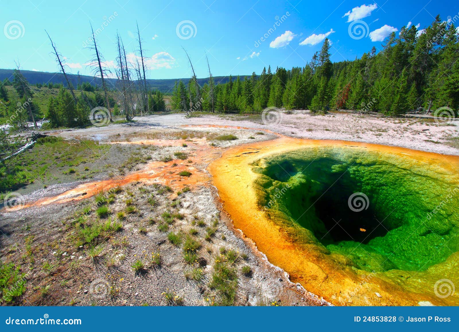 Morning Glory Pool of Yellowstone Stock Photo - Image of blue ...
