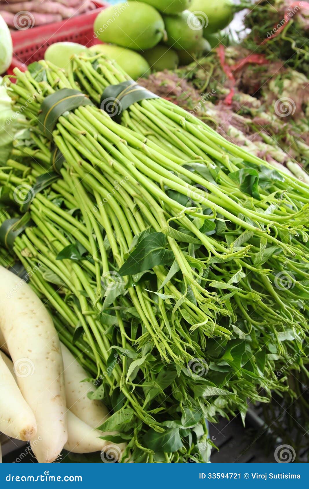Morning Glory and Vegetable. Stock Image - Image of fresh, radish: 33594721