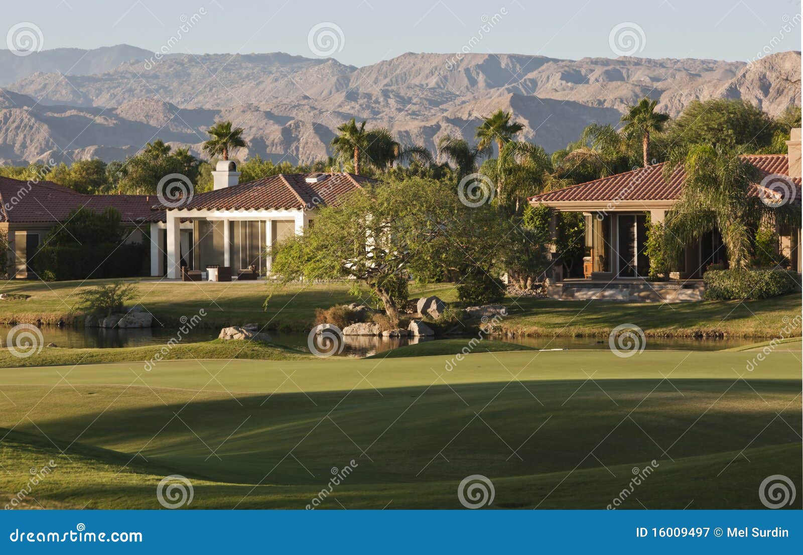 Morning on the golf course stock image. Image of trees - 16009497