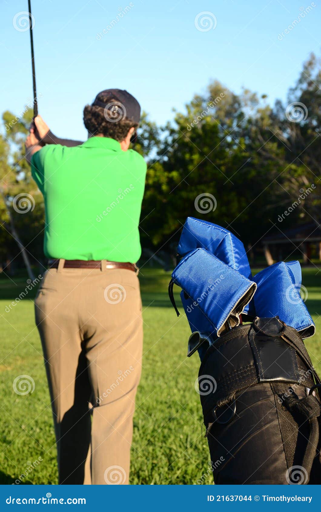 Morning Golfer stock photo. Image of nature, driver, recreation - 21637044