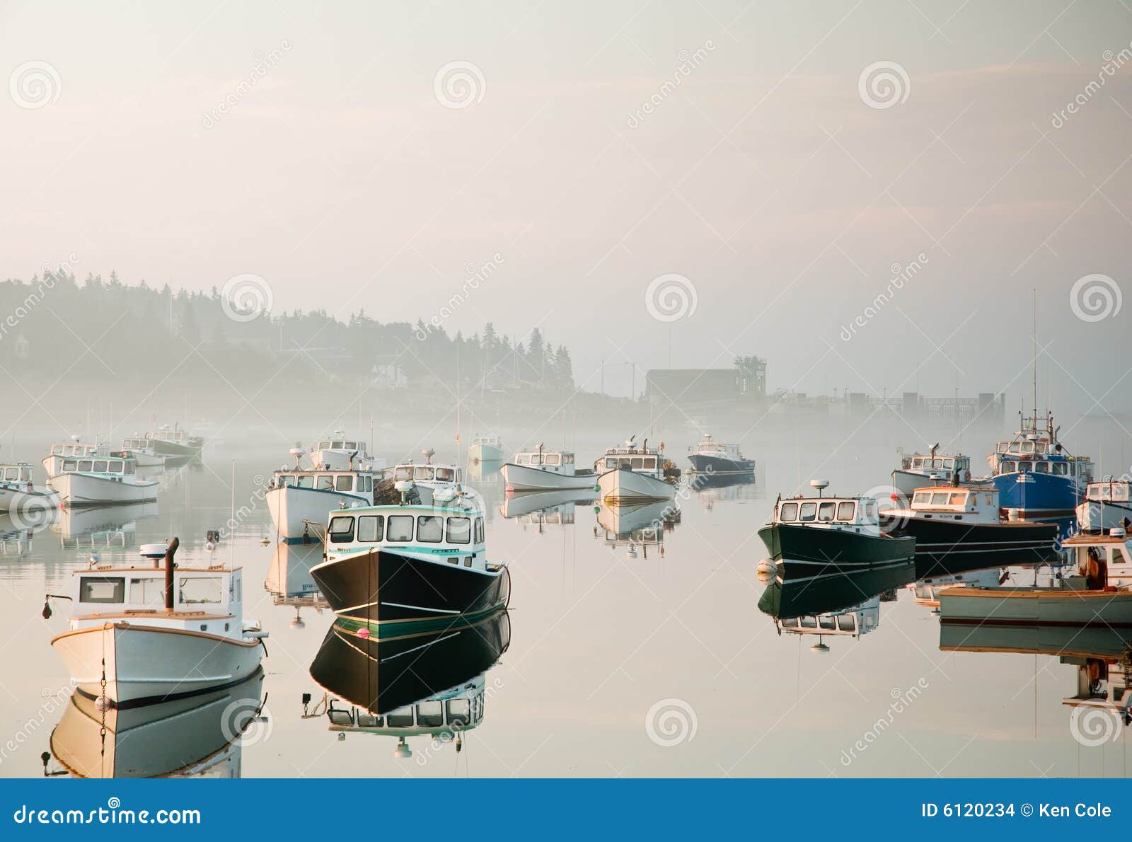 Morning harbor mist stock photo. Image of damp, floating - 6120234