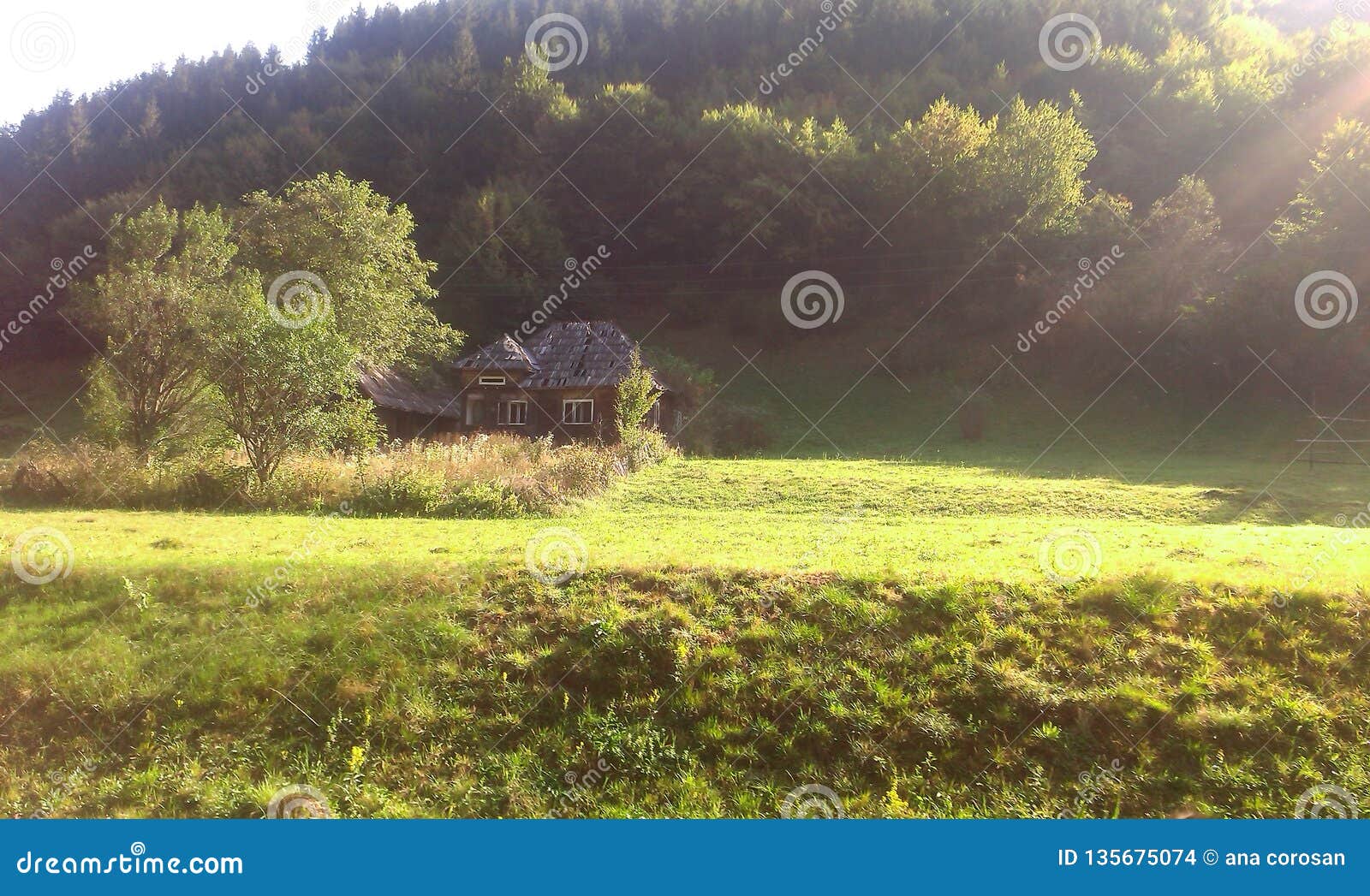 Morning home stock photo. Image of morning, serenity - 135675074