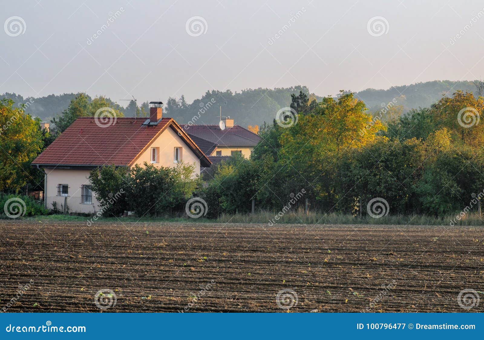 Morning house stock image. Image of grass, morning, poisoned - 100796477