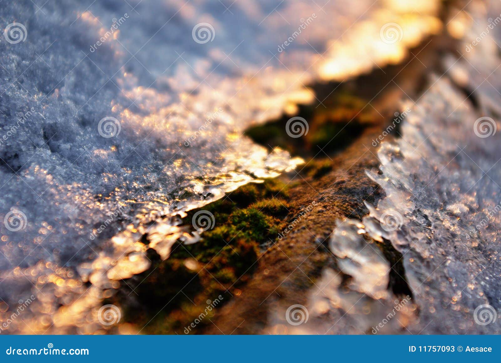 Morning ice stock image. Image of cold, snow, detail - 11757093