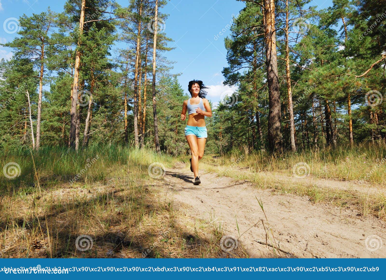 Morning jogging stock photo. Image of morning, jogging - 11977990