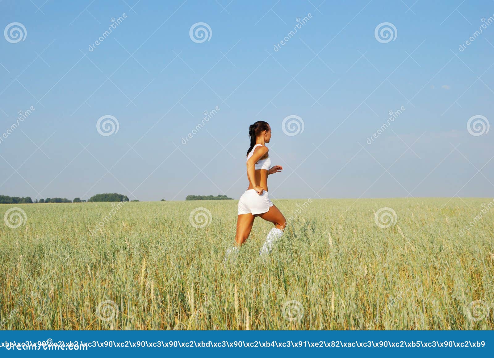 Morning jogging on field stock image. Image of action - 15983181