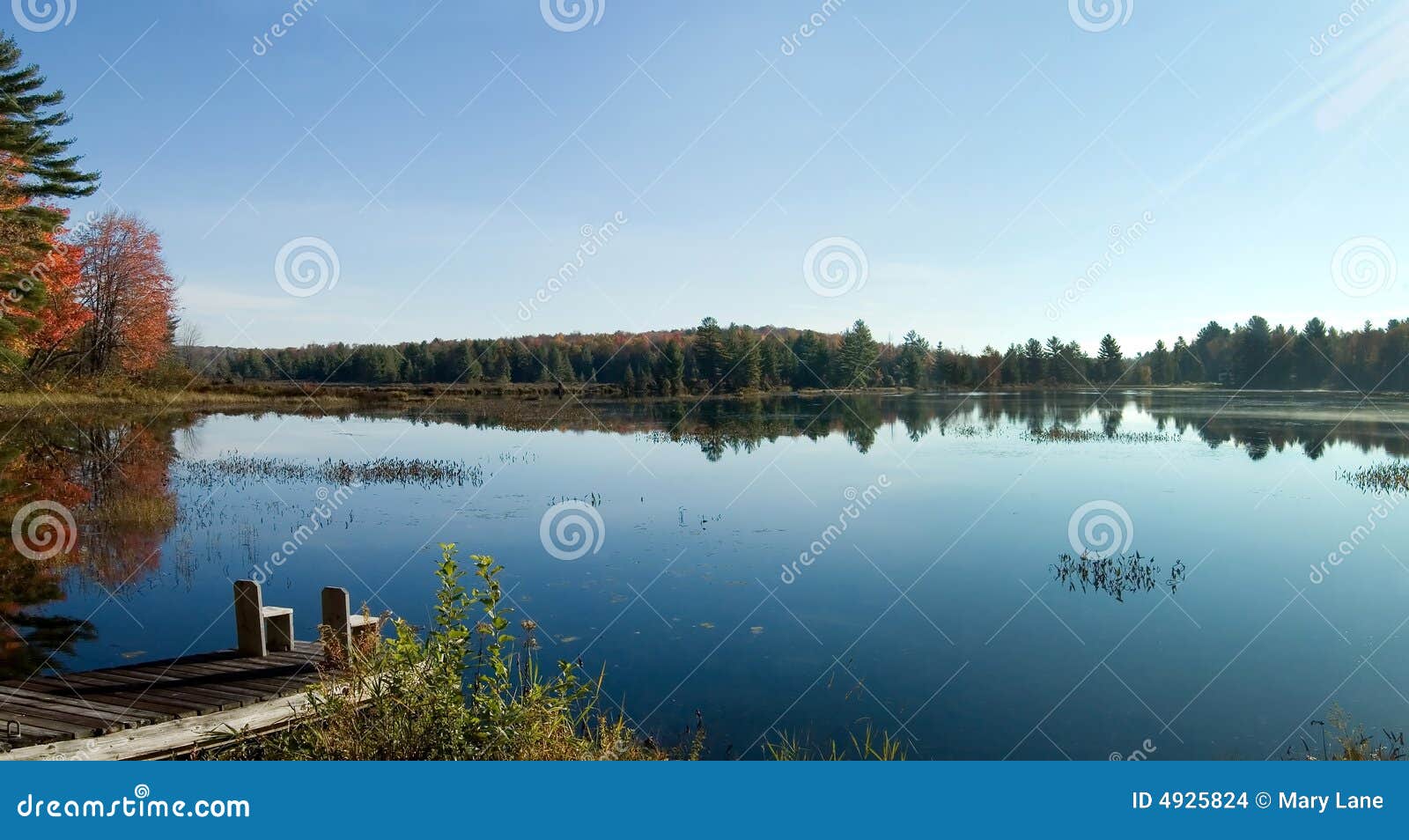 Morning Lake stock photo. Image of autumn, peaceful, seasonal - 4925824