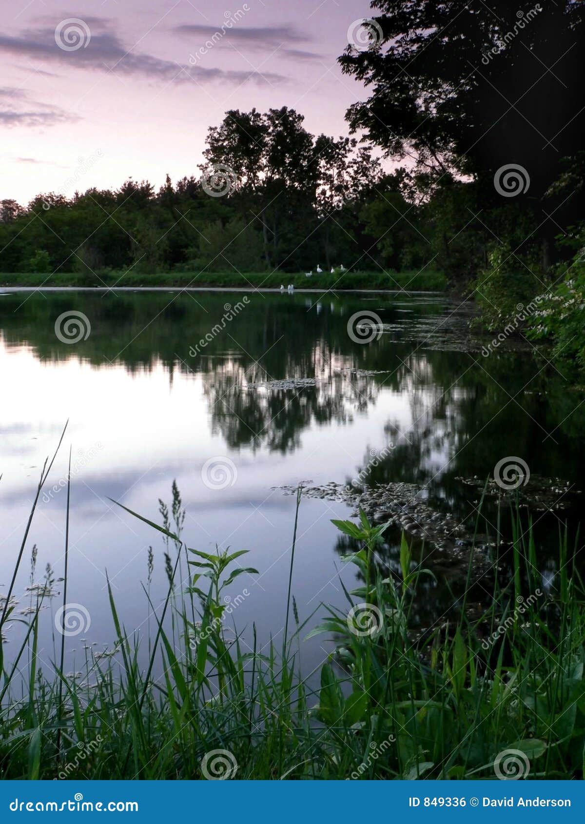 Morning on the Lake Front stock photo. Image of nature - 849336