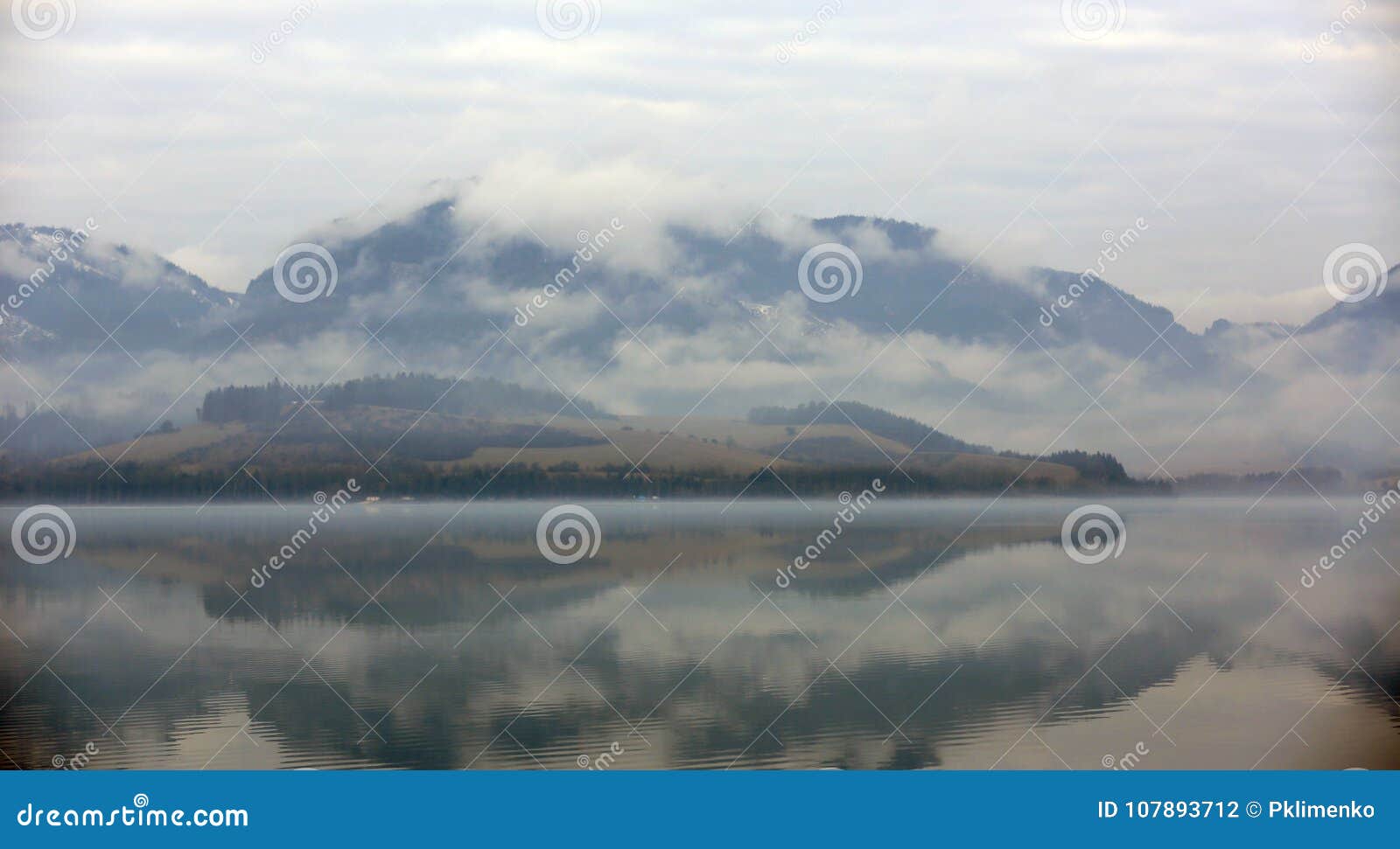 Morning on lake stock photo. Image of trees, scenic - 107893712