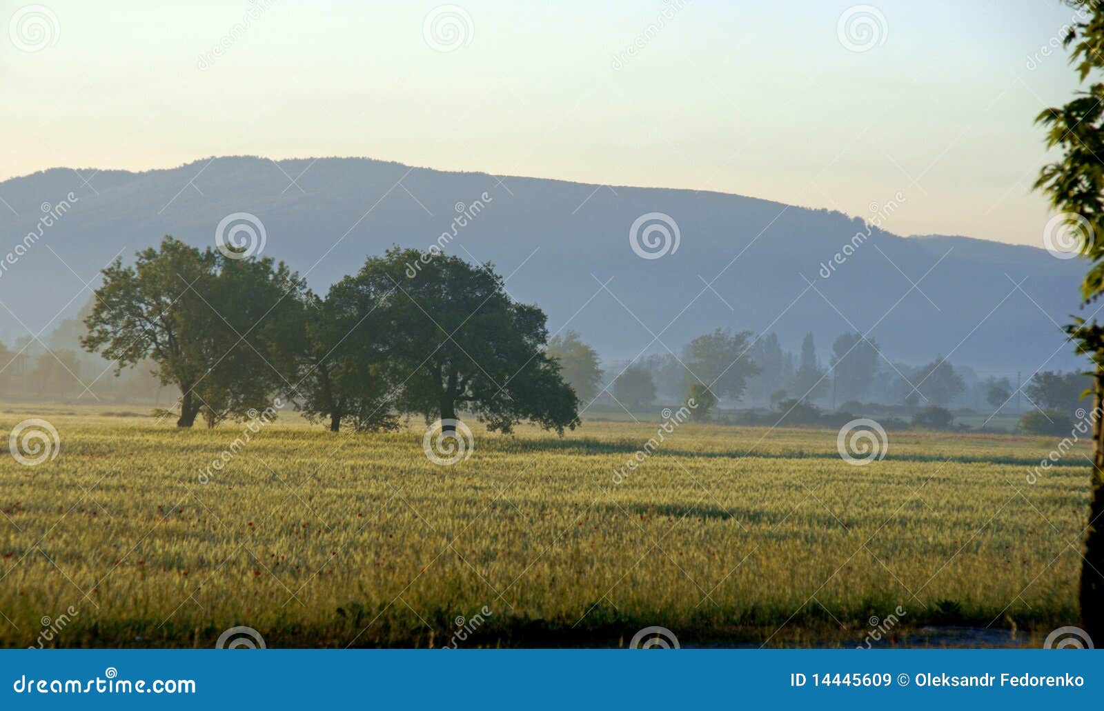 Morning landscape. stock image. Image of spring, outdoors - 14445609