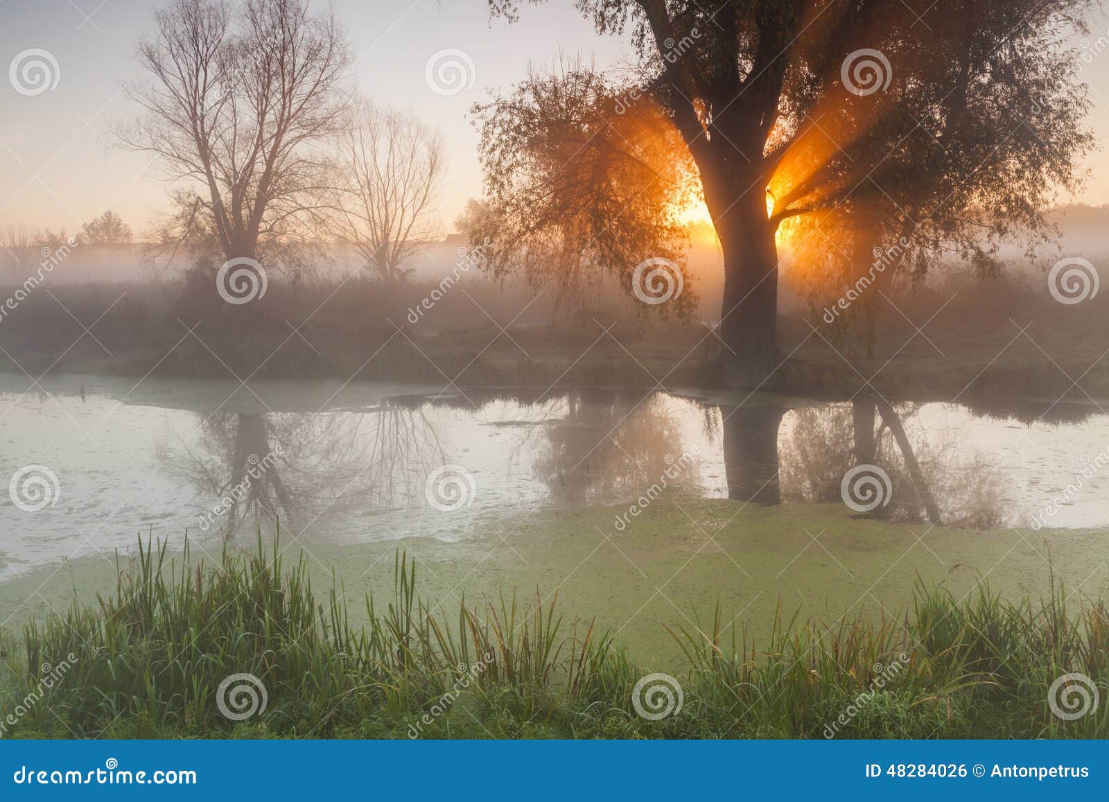 Morning Landscape with Fog Over the River Stock Photo - Image of haze ...