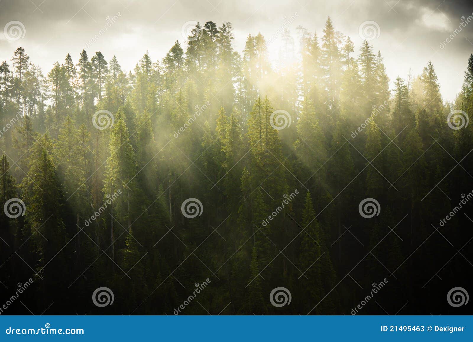 Morning Light stock image. Image of clouds, dramatic - 21495463