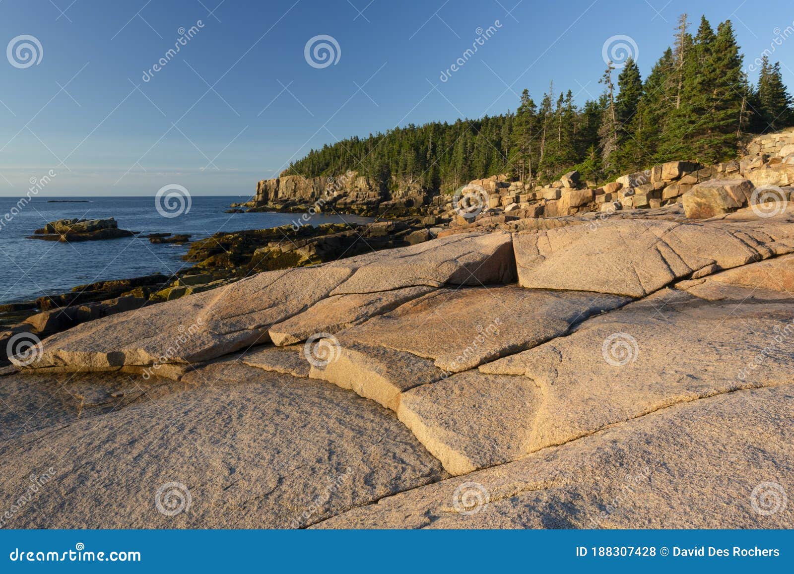 Morning Light on Acadia National Park Stock Photo - Image of states ...