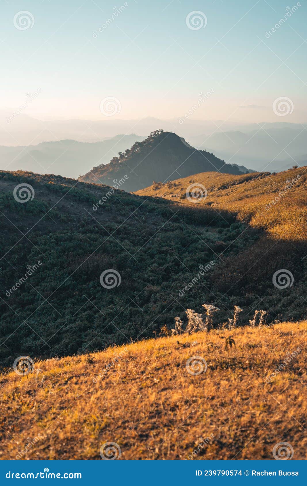 Morning Light and Mountains,mountains in Summer Morning and Spring ...