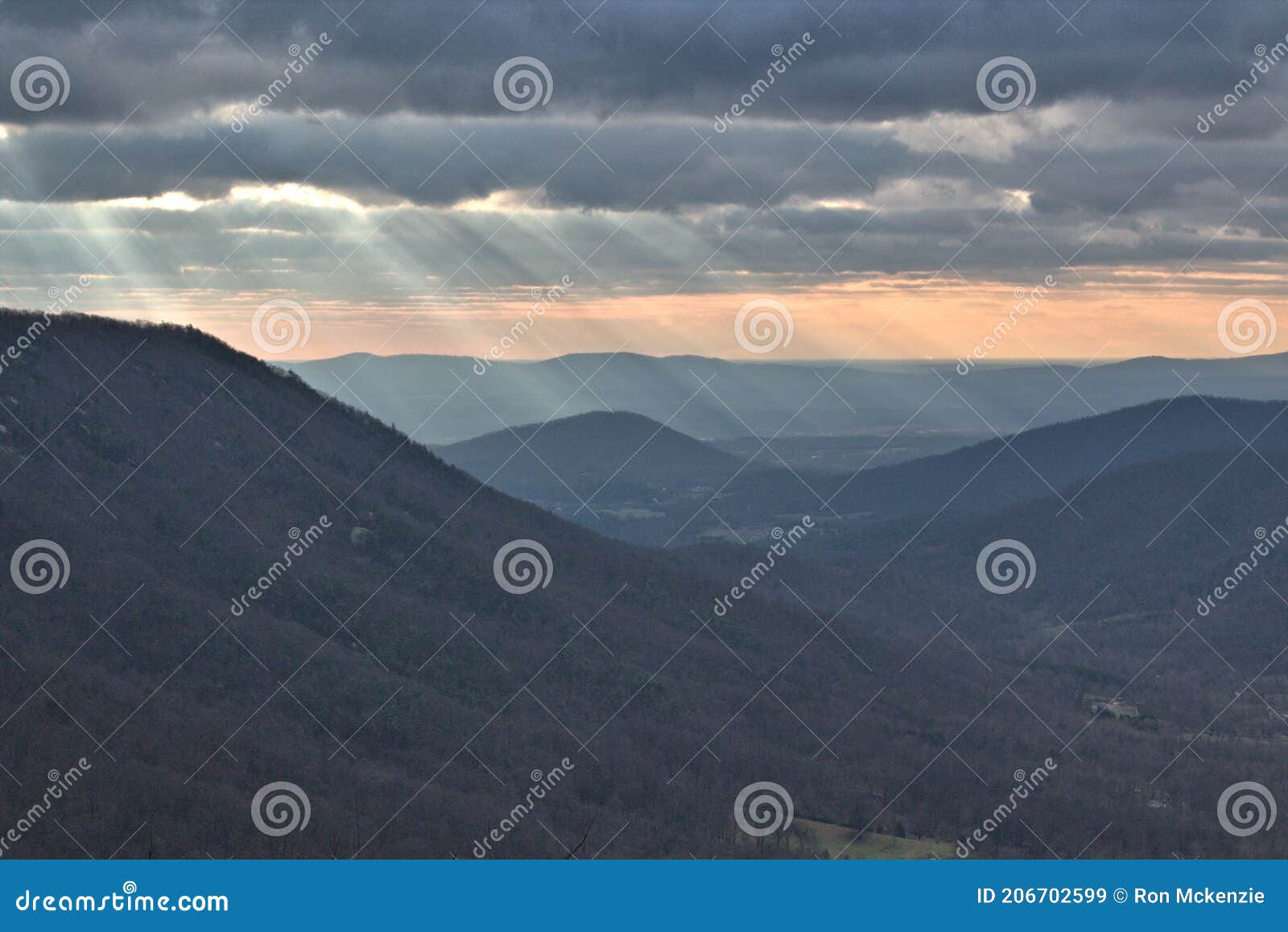Morning light rays stock image. Image of scenery, parkway - 206702599