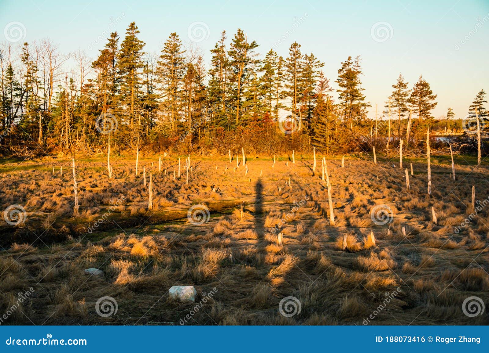 Morning light and shadows stock photo. Image of early - 188073416