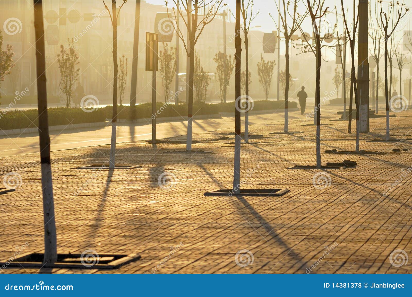 Morning Light Shining Street Stock Photo - Image of light, morning ...